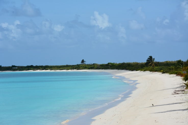 Things to Do in Barbuda, the Caribbean's Secret Paradise - The Trip ...