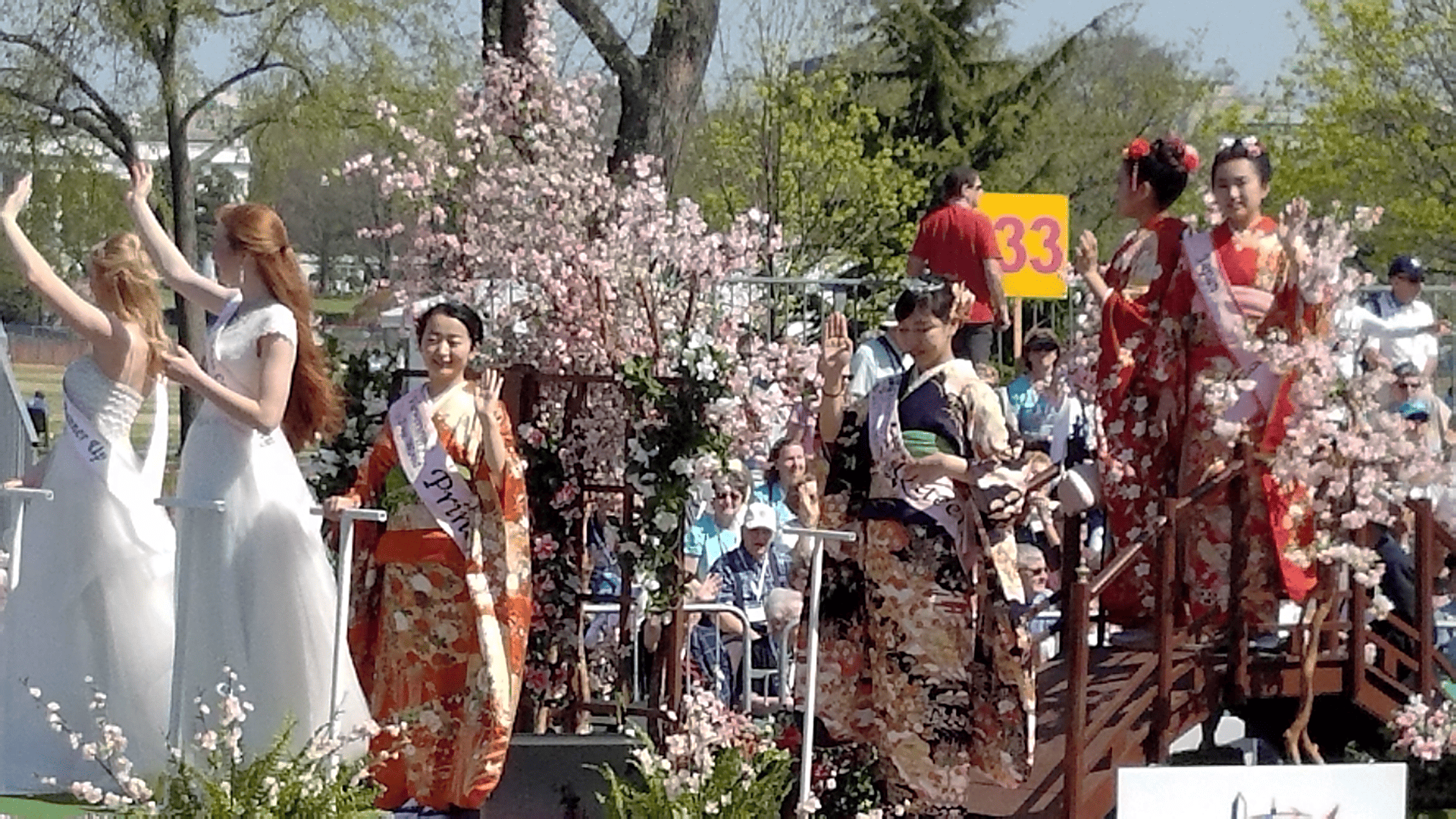 The 4 Best Activities During the Cherry Blossom Festival - The Trip ...