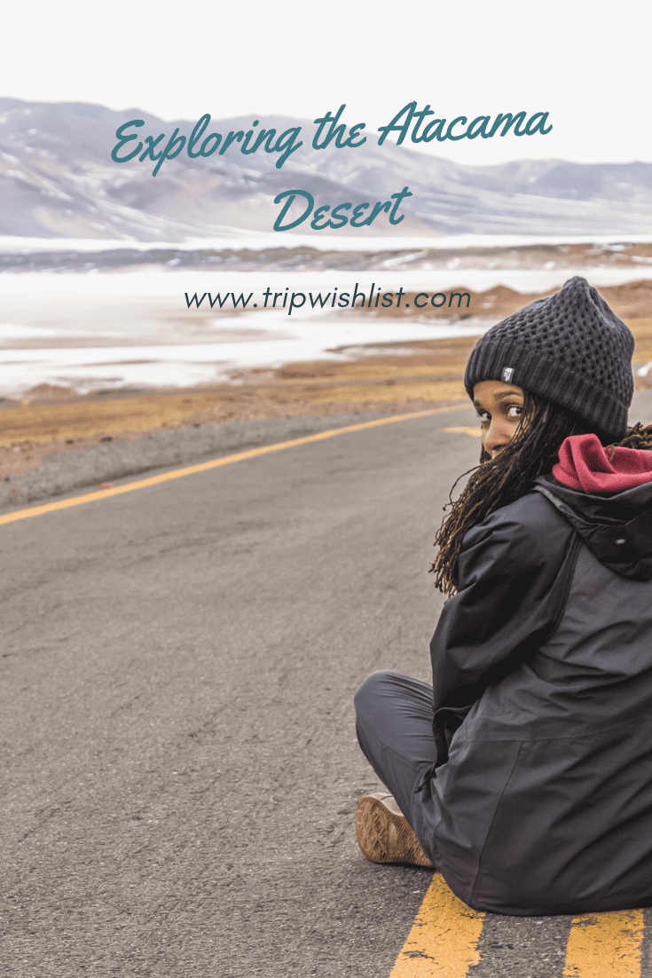 Things to Do in the Atacama Desert - The Trip Wish List